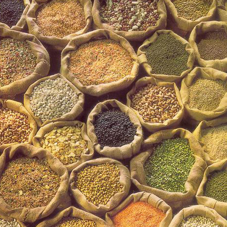Legumi e Cereali dal Mondo | Legumi Italiani
